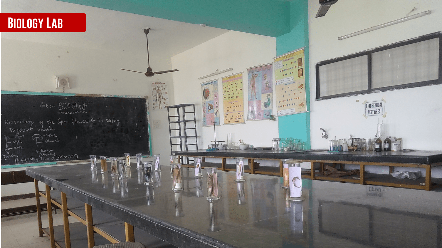 Indian Olympiad School & Junior College - Labs